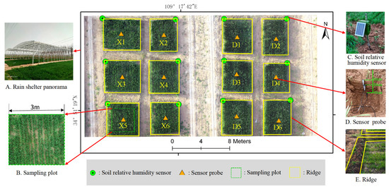 Precise Drought Threshold Monitoring in Winter Wheat Using the Unmanned ...