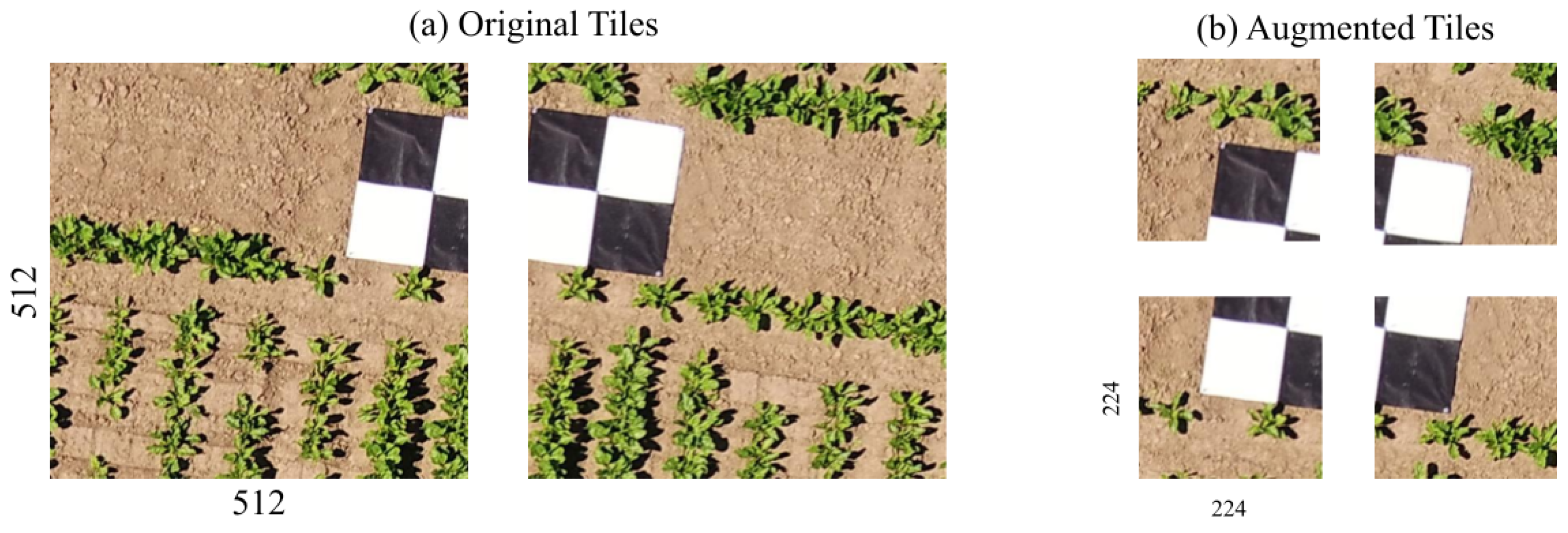 Remote Sensing | Free Full-Text | Automating Ground Control Point Detection in Drone Imagery ...