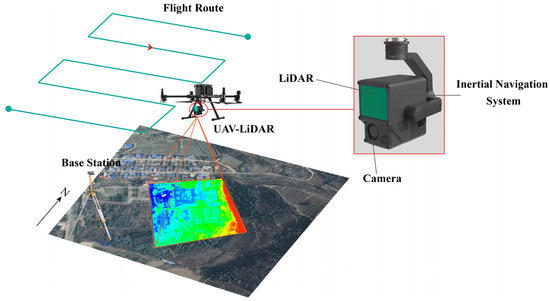 Remote Sensing | Free Full-Text | Individual Tree Segmentation Based on Seed Points Detected by ...