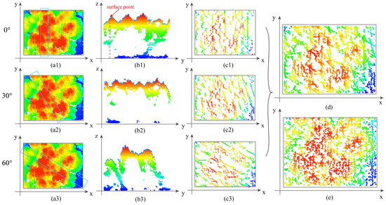 Remote Sensing | Free Full-Text | Individual Tree Segmentation Based on ...