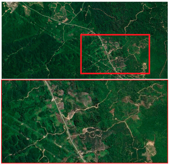 Mapping Remote Roads Using Artificial Intelligence and Satellite Imagery
