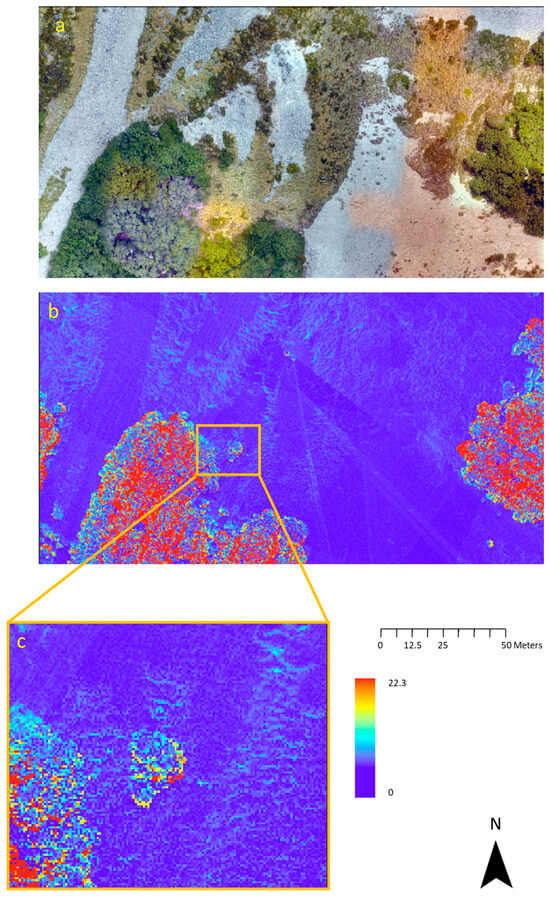 Remote Sensing | Free Full-Text | Linking High-Resolution UAV-Based Remote Sensing Data to Long ...