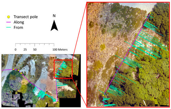 Remote Sensing | Free Full-Text | Linking High-Resolution UAV-Based Remote Sensing Data to Long ...