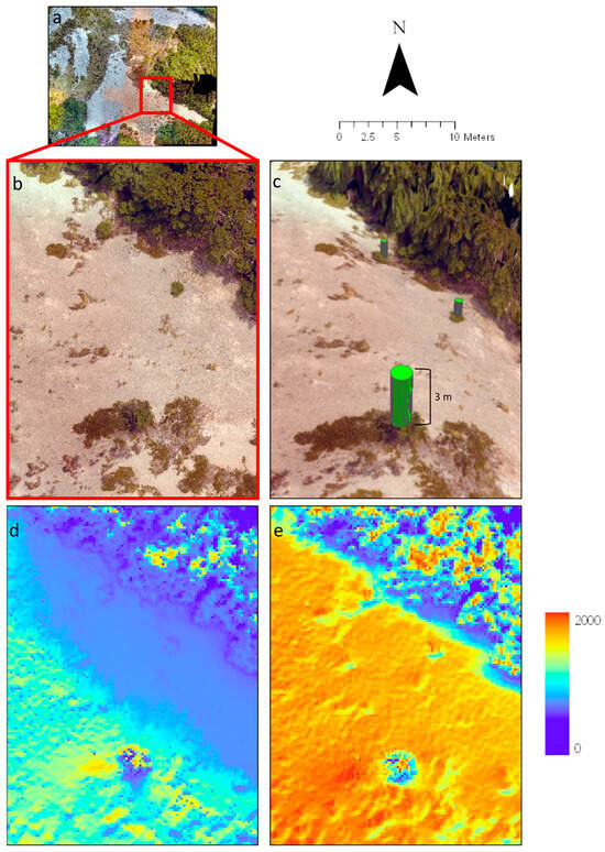 Remote Sensing | Free Full-Text | Linking High-Resolution UAV-Based Remote Sensing Data to Long ...