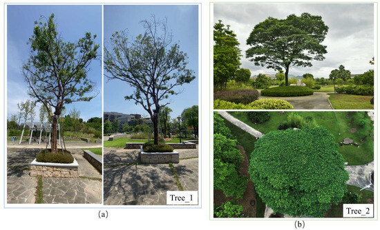 Remote Sensing | Free Full-Text | Evaluating the Point Cloud of ...