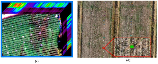 Remote Sensing | Free Full-Text | Advancements in Utilizing Image ...