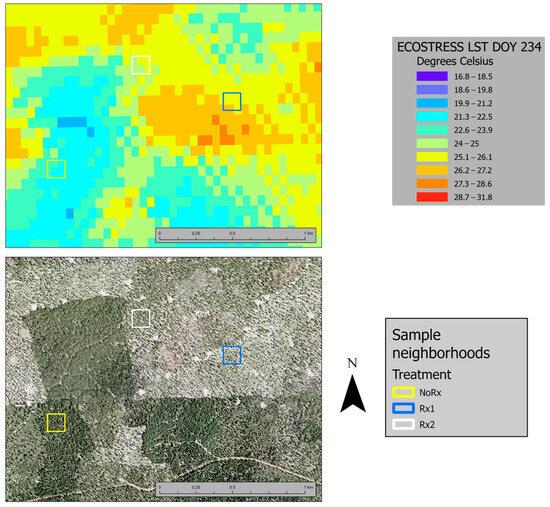 Assessing Tree Water Balance after Forest Thinning Treatments Using ...