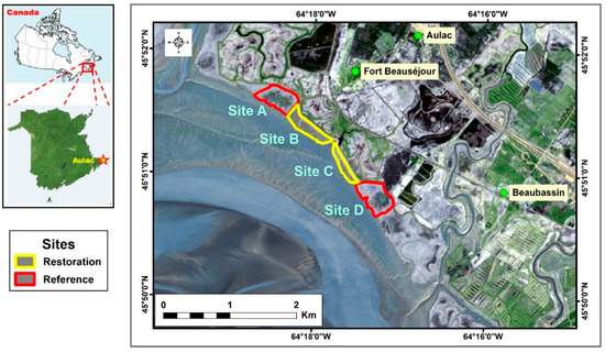 Remote Sensing | Free Full-Text | Comparing Pixel- and Object-Based Approaches for Classifying ...