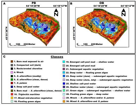Remote Sensing | Free Full-Text | Comparing Pixel- and Object-Based Approaches for Classifying ...