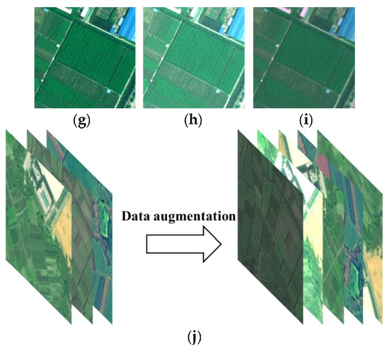 CroplandCDNet: Cropland Change Detection Network for Multitemporal Remote Sensing Images Based ...