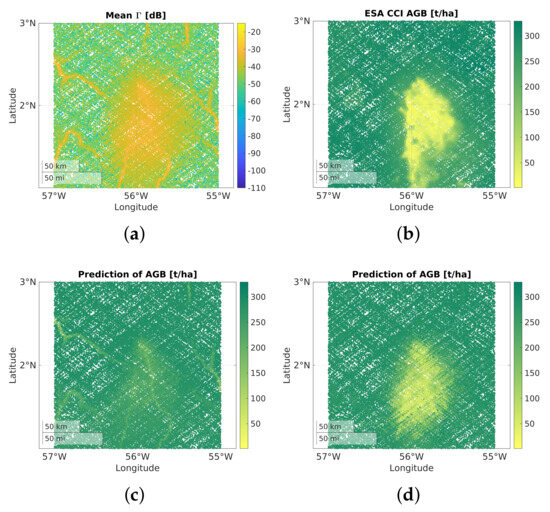 Biomass Estimation with GNSS Reflectometry Using a Deep Learning ...