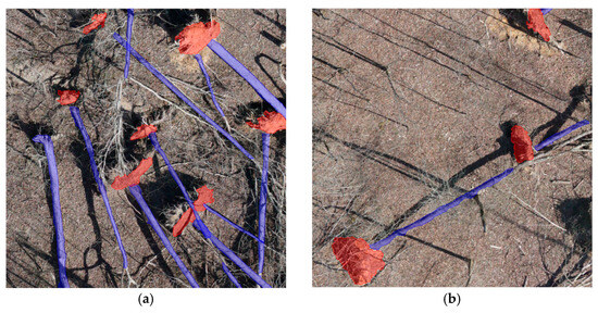 Remote Sensing Free Full Text Using Deep Learning And Advanced Image Processing For The