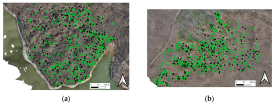 Remote Sensing Free Full Text Using Deep Learning And Advanced Image Processing For The