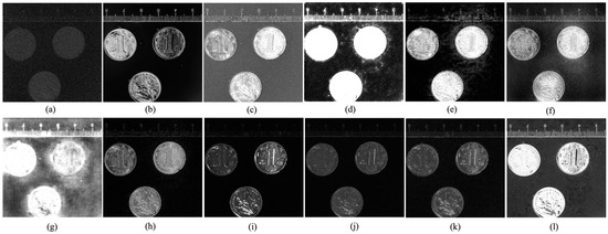 Remote Sensing | Free Full-Text | A Dual-Branch Autoencoder Network for ...