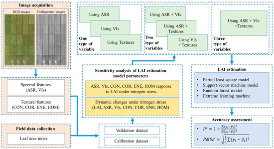 Remote Sensing | Free Full-Text | Enhanced Leaf Area Index Estimation in Rice by Integrating UAV ...