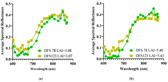 Remote Sensing | Free Full-Text | Enhanced Leaf Area Index Estimation in Rice by Integrating UAV ...