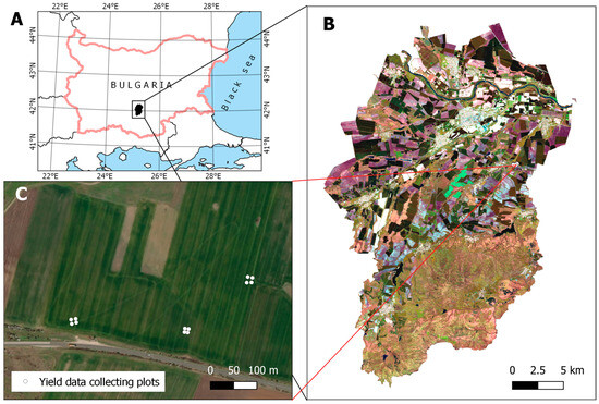 Crop Type Mapping and Winter Wheat Yield Prediction Utilizing Sentinel-2: A Case Study from ...