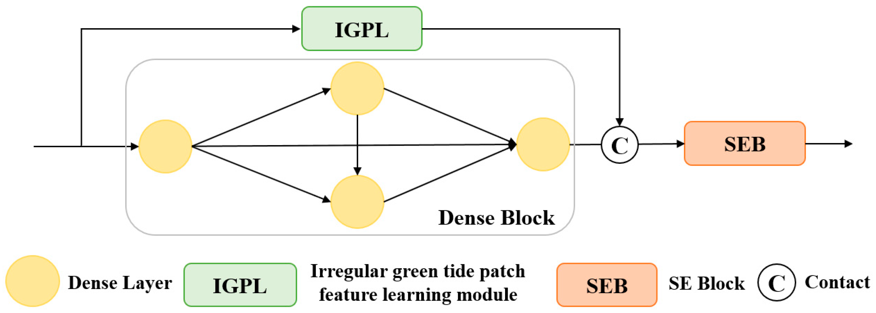 Anisotropic Green Tide Patch Information Extraction Based on Deformable Convolution