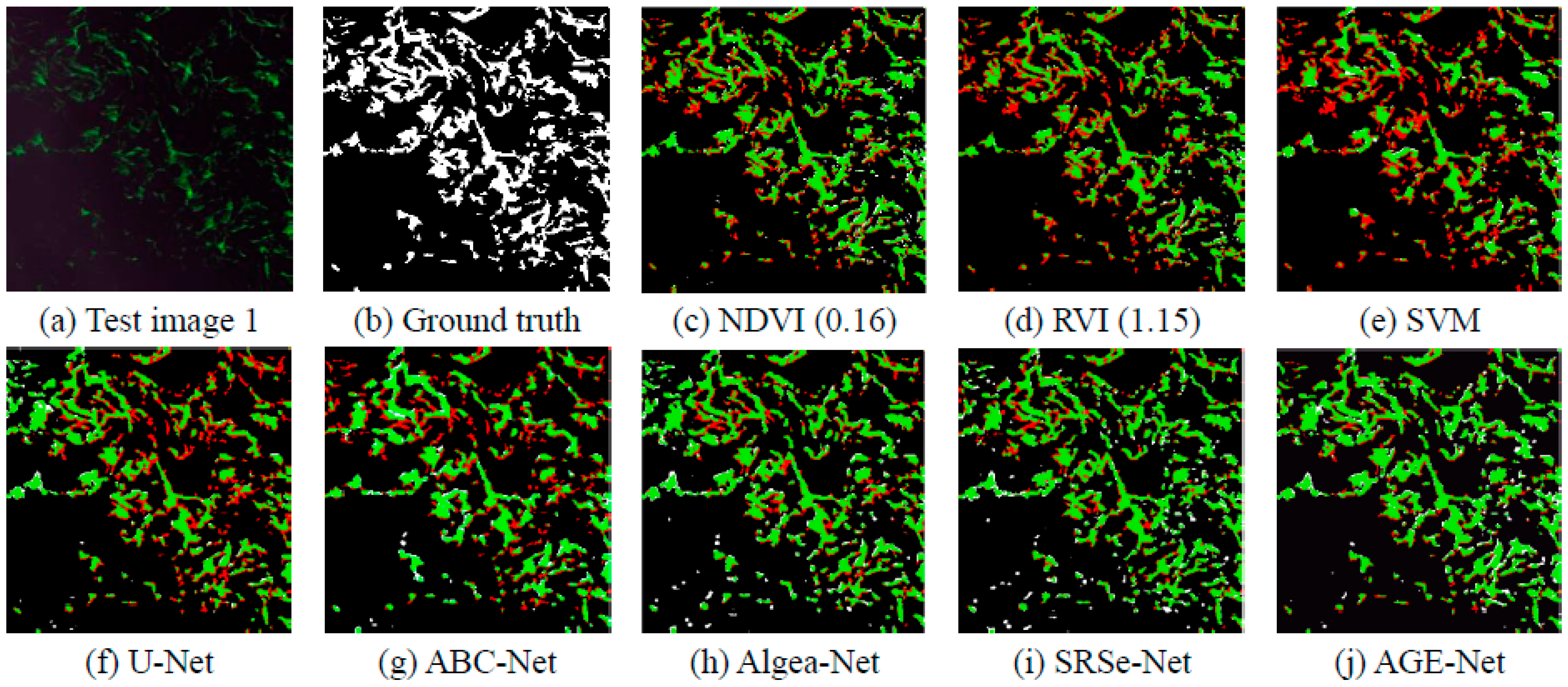 Anisotropic Green Tide Patch Information Extraction Based on Deformable Convolution