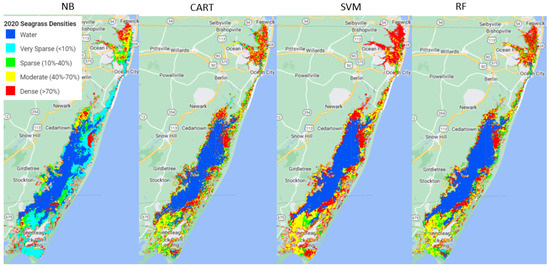 Quantifying Seagrass Density Using Sentinel-2 Data and Machine Learning