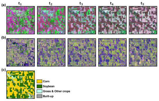 Assessing the Potential of Multi-Temporal Conditional Generative Adversarial Networks in SAR-to ...