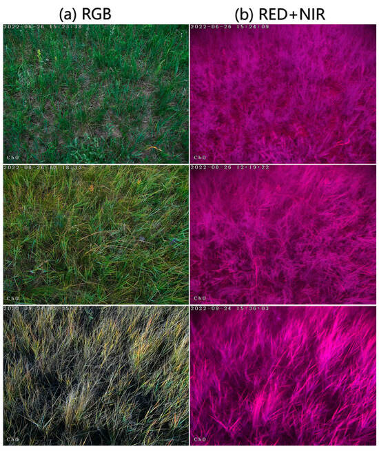 The Retrieval of Ground NDVI (Normalized Difference Vegetation Index ...