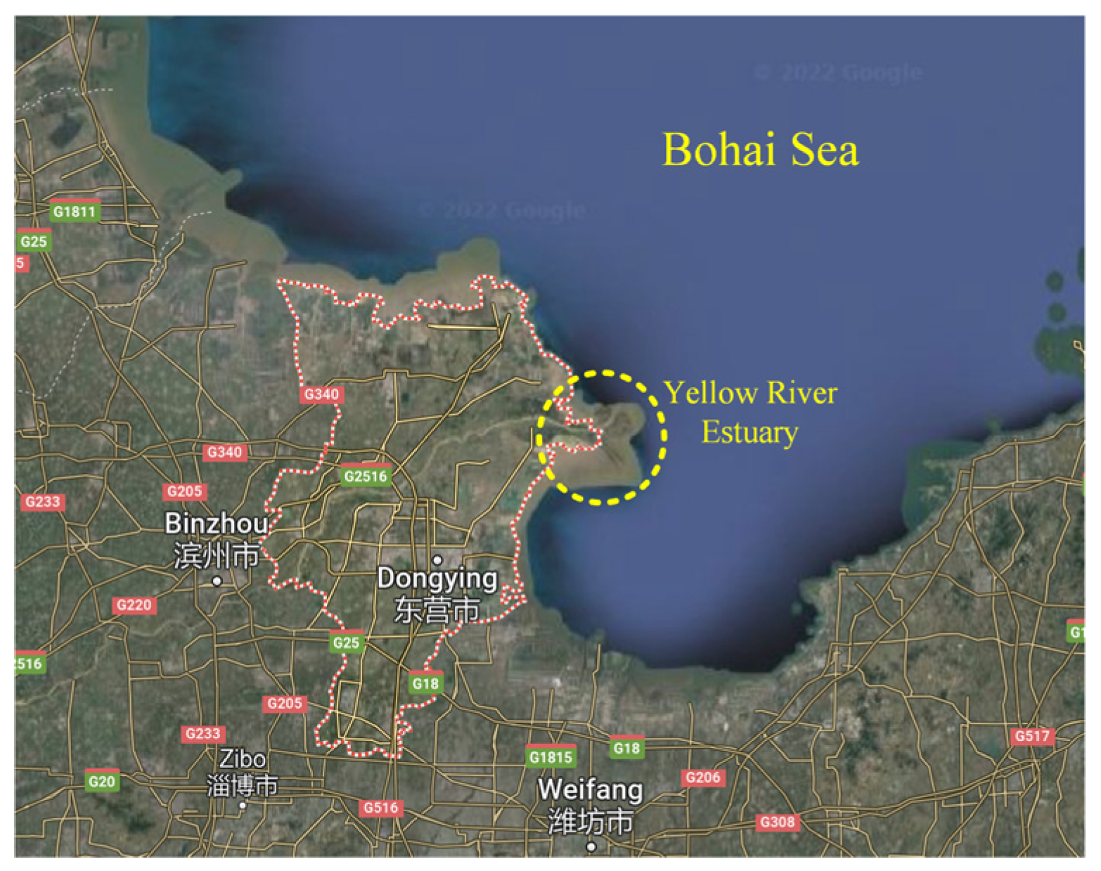 Monitoring Dynamically Changing Migratory Flocks Using an Algebraic Graph Theory-Based ...