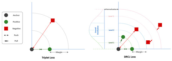 IML-Net: A Framework for Cross-View Geo-Localization with Multi-Domain Remote Sensing Data