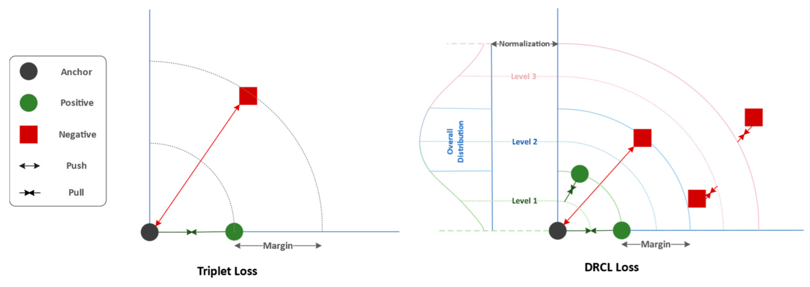 IML-Net: A Framework for Cross-View Geo-Localization with Multi-Domain ...