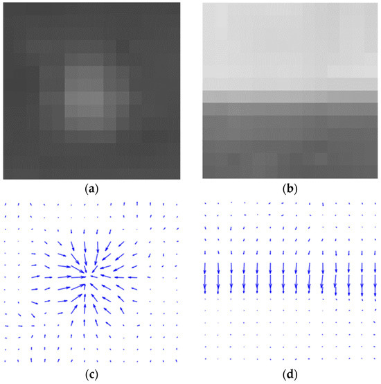 Remote Sensing | Free Full-Text | Infrared Maritime Small-Target Detection Based on Fusion Gray ...