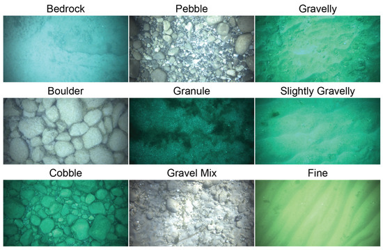 Classification of Lakebed Geologic Substrate in Autonomously Collected ...