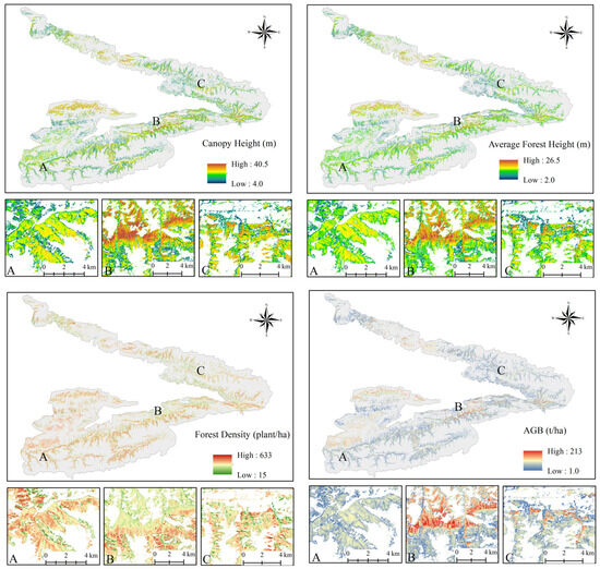 Remote Sensing | Free Full-Text | Mapping of Forest Structural ...