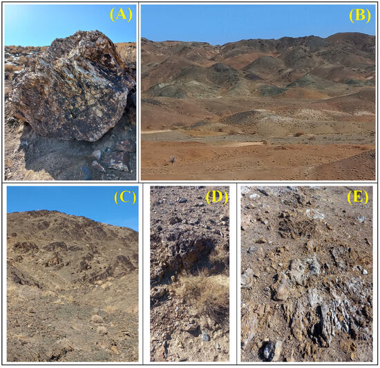 PRISMA Hyperspectral Remote Sensing Data for Mapping Alteration ...