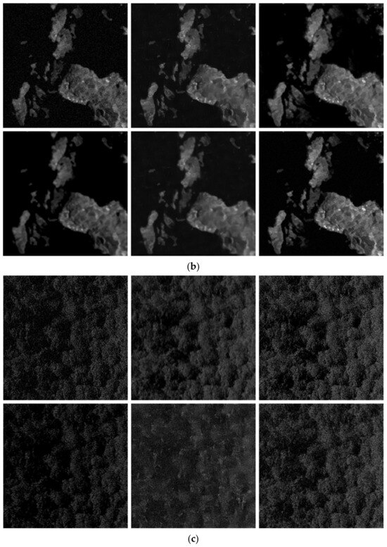 Remote Sensing | Free Full-Text | Sparse SAR Imaging Algorithm in Marine Environments Based on ...