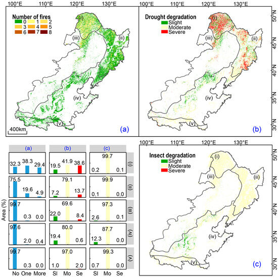 Detection of Typical Forest Degradation Patterns: Characteristics and ...
