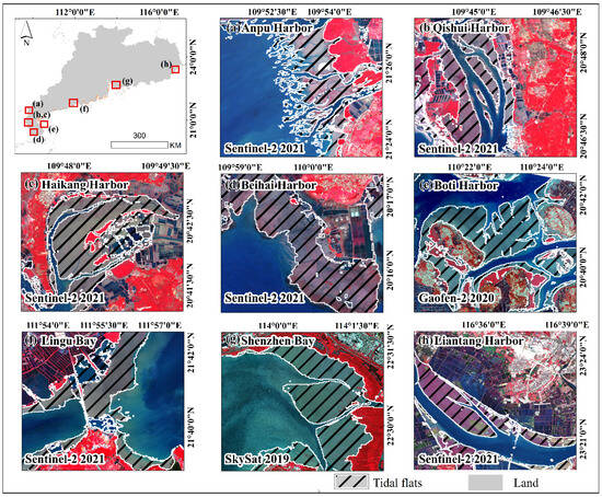 Remote Sensing | Free Full-Text | Mapping Annual Tidal Flat Loss and Gain in the Micro-Tidal ...