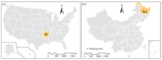 Integrating Optical and SAR Time Series Images for Unsupervised Domain Adaptive Crop Mapping