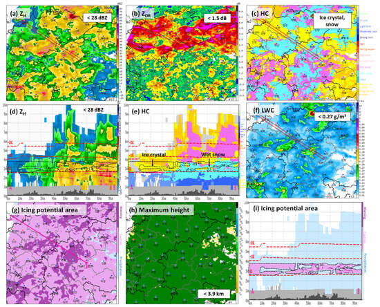 AIDER: Aircraft Icing Potential Area DEtection in Real-Time Using 3 ...