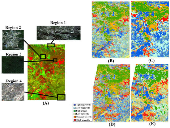 Remote Sensing and Machine Learning for Accurate Fire Severity Mapping in Northern Algeria