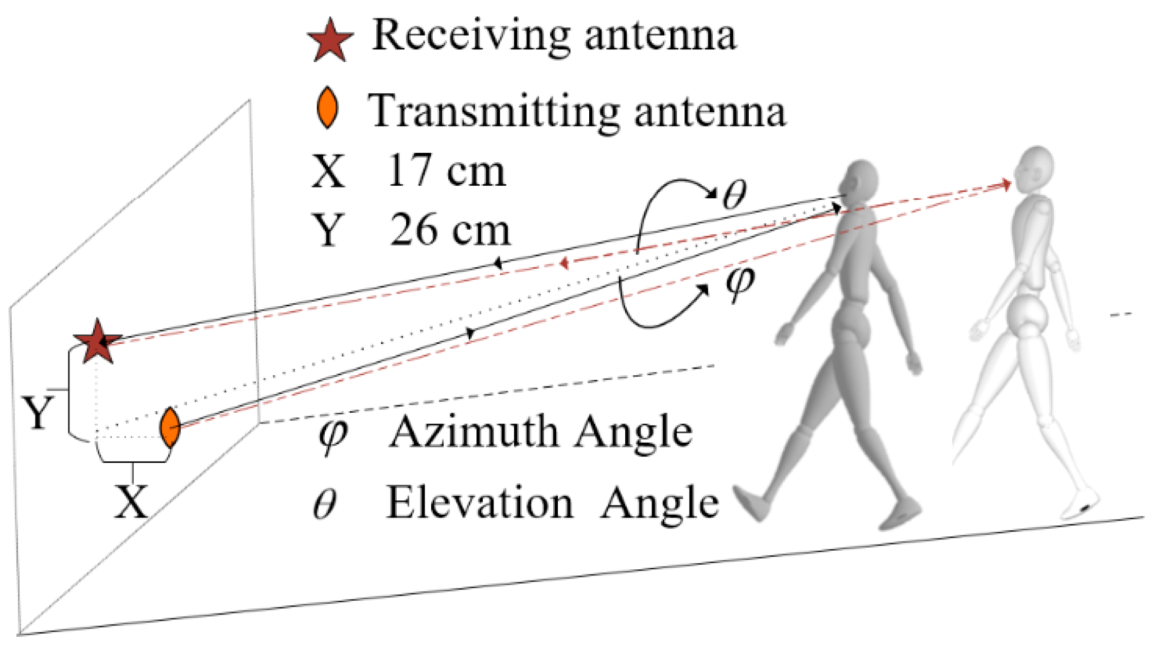 SCRP-Radar: Space-Aware Coordinate Representation for Human Pose ...