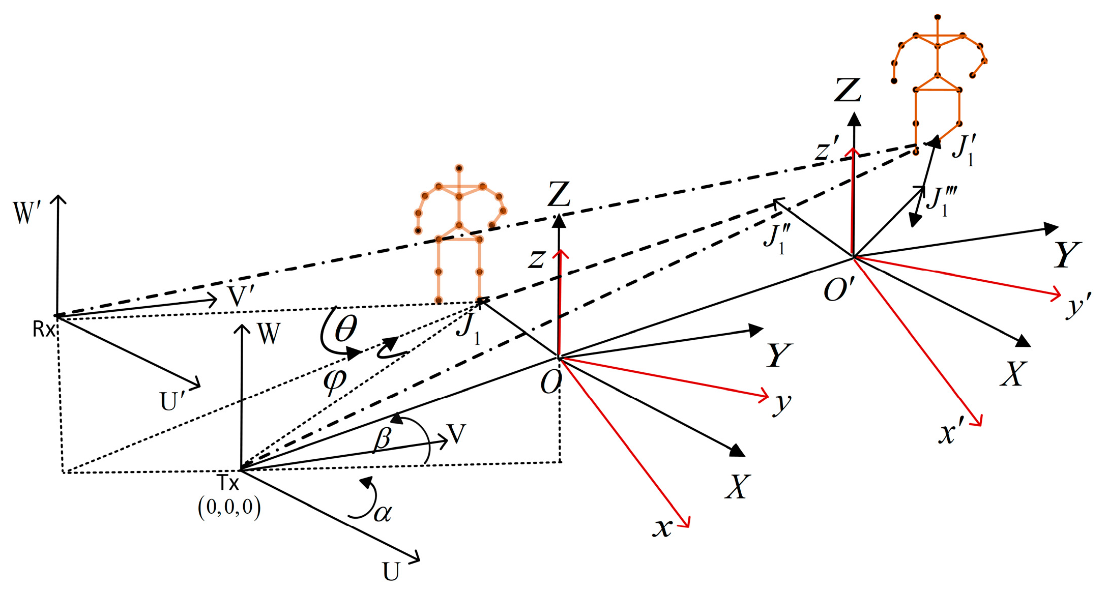 SCRP-Radar: Space-Aware Coordinate Representation for Human Pose ...