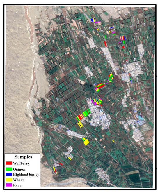 Remote Sensing | Free Full-Text | Innovative Decision Fusion for Accurate Crop/Vegetation ...