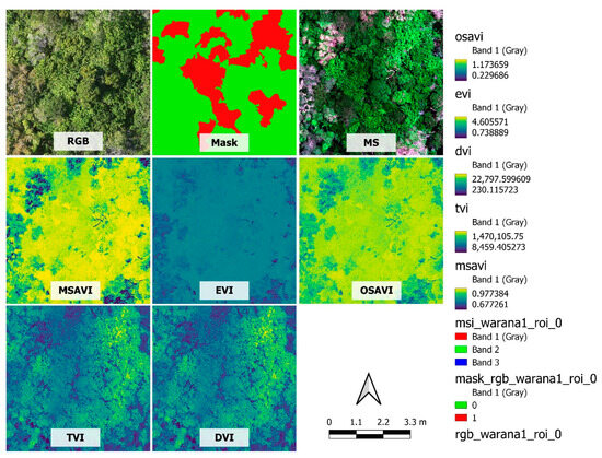 Integrating Artificial Intelligence and UAV-Acquired Multispectral ...