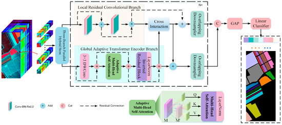 Dual-Branch Adaptive Convolutional Transformer for Hyperspectral Image ...