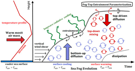Overestimated Fog-Top Entrainment in WRF Simulation Leading to ...