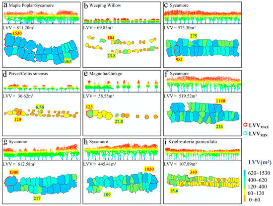 Estimation of the Living Vegetation Volume (LVV) for Individual Urban ...