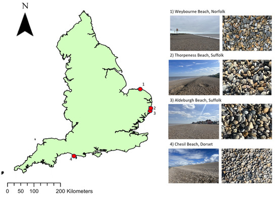 Coastal Sediment Grain Size Estimates on Gravel Beaches Using Satellite ...