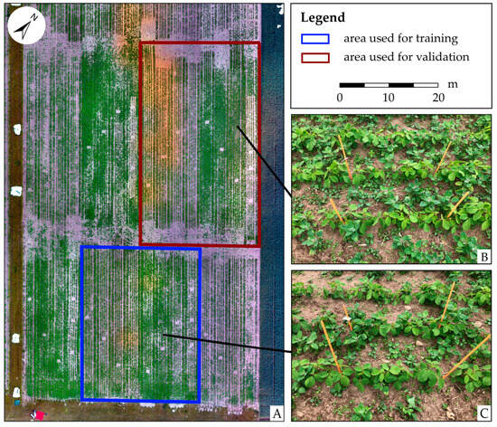 Spatial Resolution as a Factor for Efficient UAV-Based Weed Mapping—A Soybean Field Case Study