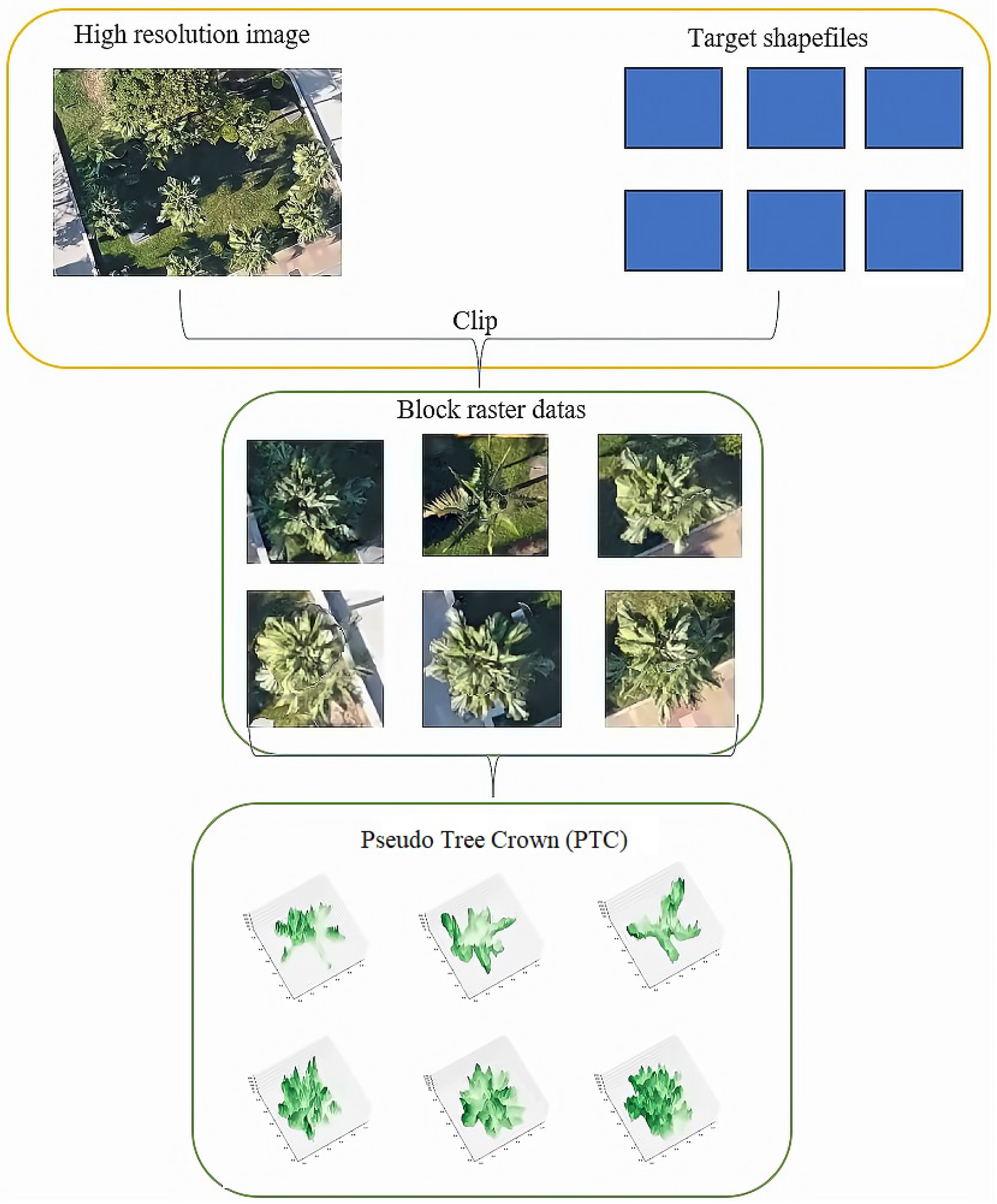 Improving Artificial Intelligence Based Individual Tree Species Classification Using Pseudo Tree