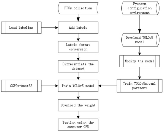 Improving Artificial-Intelligence-Based Individual Tree Species Classification Using Pseudo Tree ...